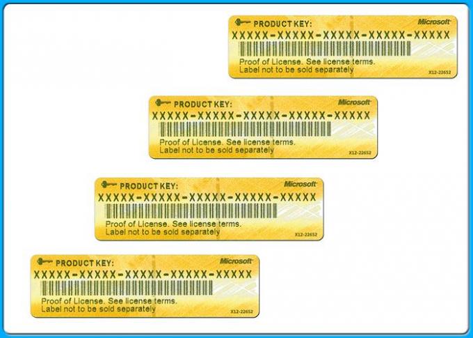 microsoft office 2010 professional plus key serial